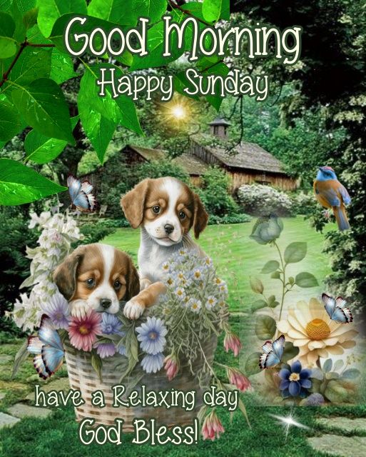 Sunday Have A Good Puppy