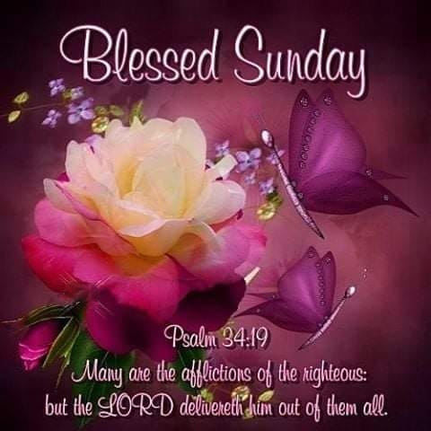 Blessed Sunday Butterflies Pictures, Photos, and Images for Facebook ...