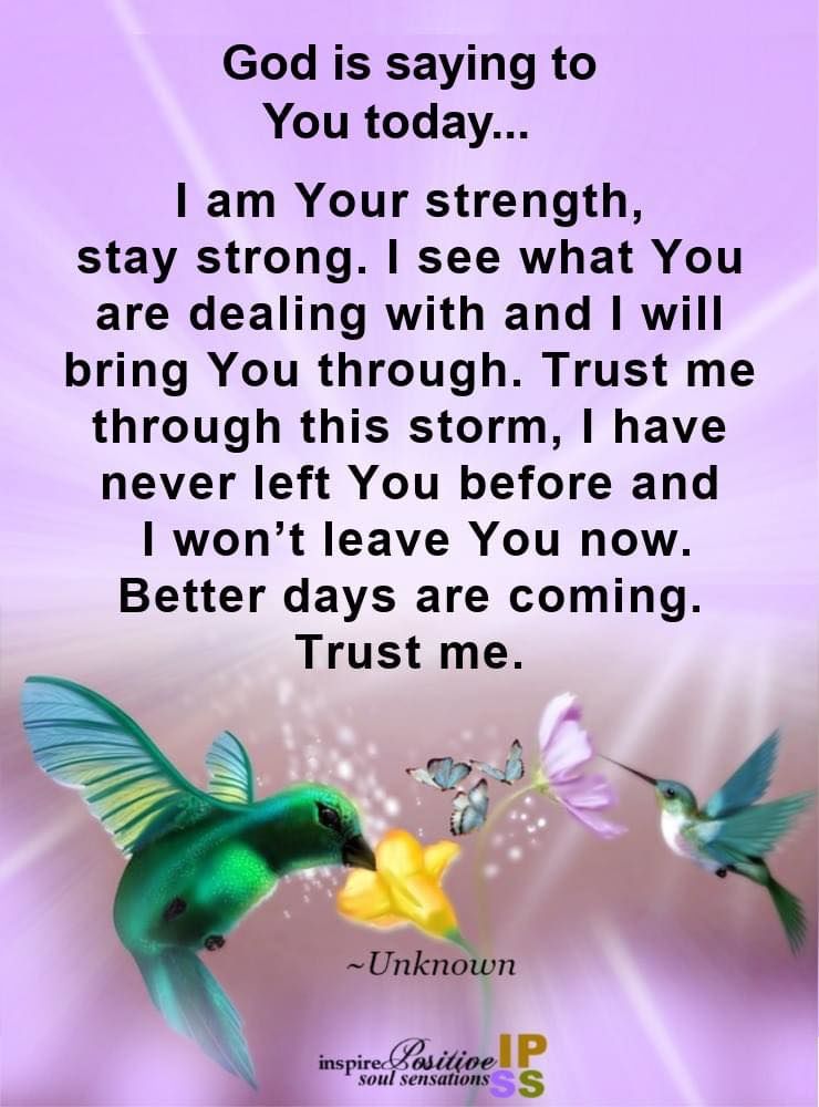 God Is Saying This To You Today... I Am Your Strength, Stay Strong. I ...