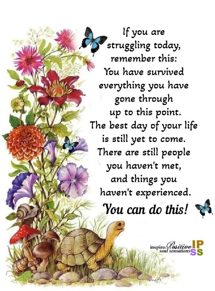 If You Are Struggling Today, Remember This: You Have Survived ...