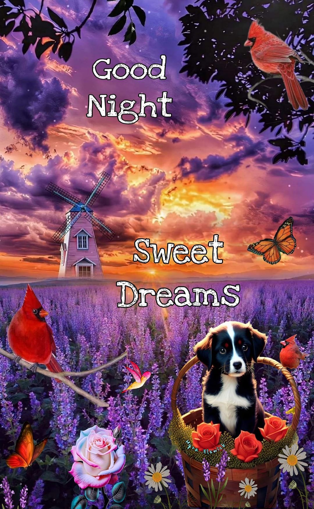 Lovely Sunset - Good Night & Sweet Dreams Pictures, Photos, and Images ...