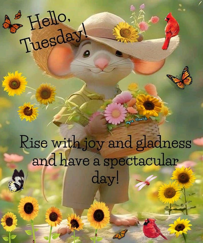 Hello Tuesday, Rise With Joy And Gladness And Have A Spectacular Day ...