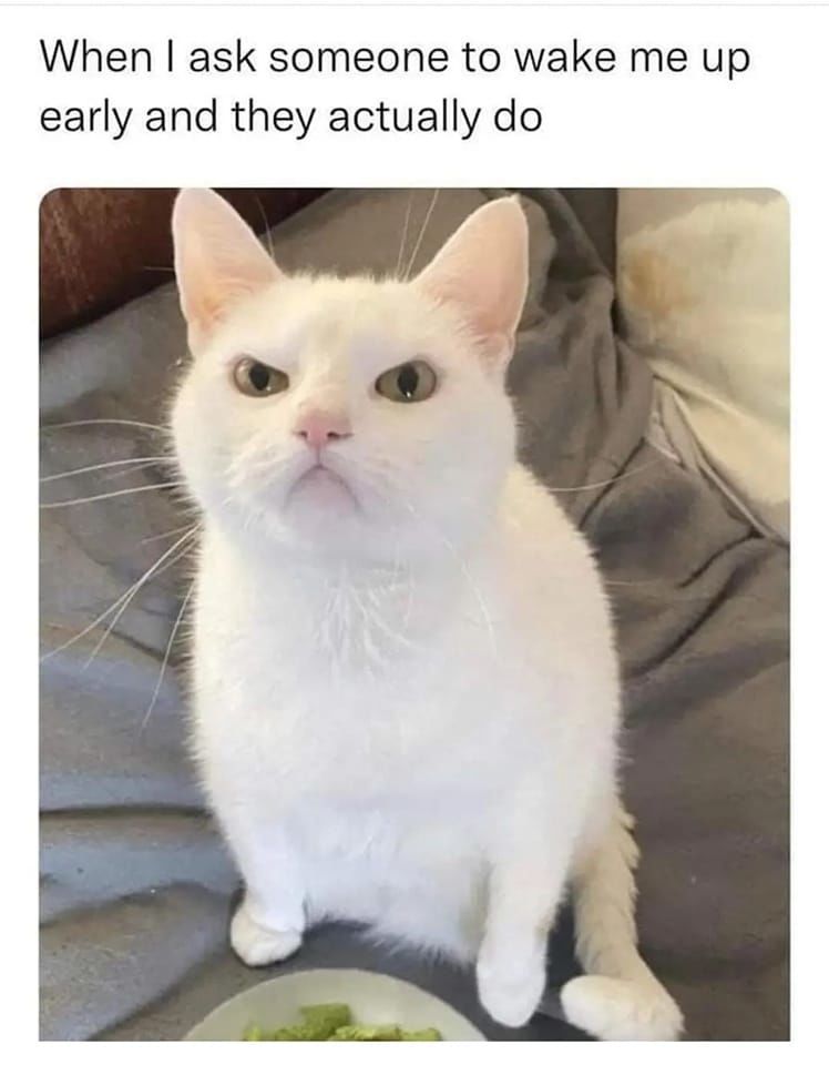 When I Ask Someone To Wake Me Up Early And They Actually Do. Pictures ...