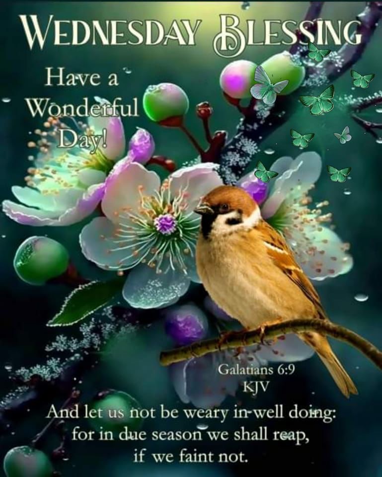 Wednesday Blessing: And Let Us Not Be Weary In Well Doing: For In Due ...