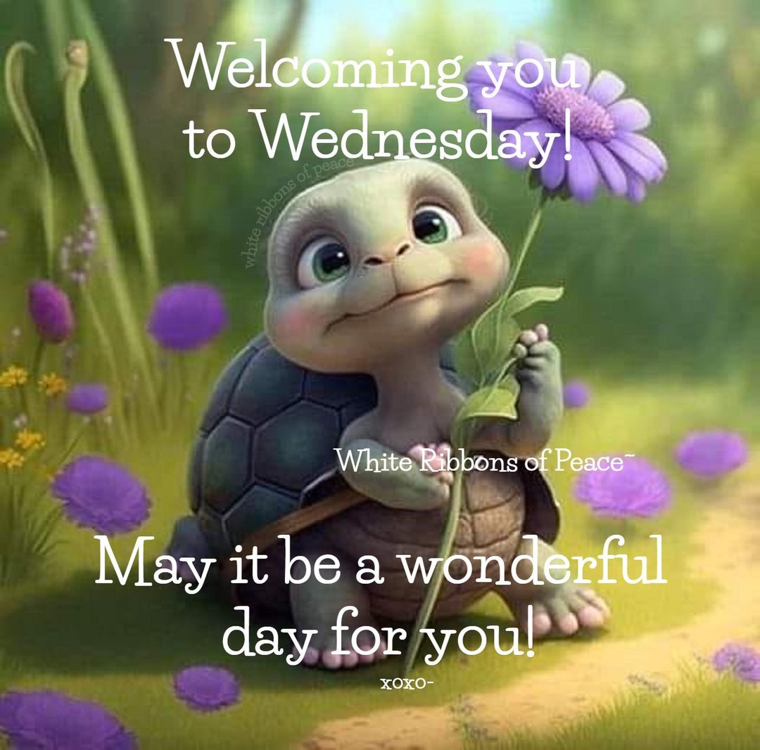 Welcoming You To Wednesday Pictures, Photos, and Images for Facebook ...
