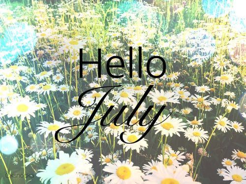 Hello July With Daisies Pictures, Photos, and Images for Facebook ...
