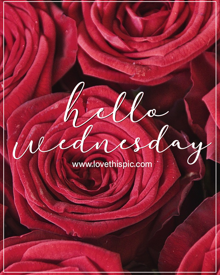 Hello Wednesday With Red Roses Pictures, Photos, and Images for ...