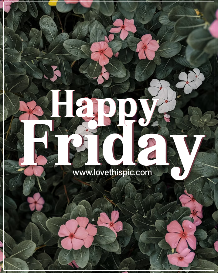 Happy Friday With Beautiful Pink Flowers Pictures, Photos, and Images ...