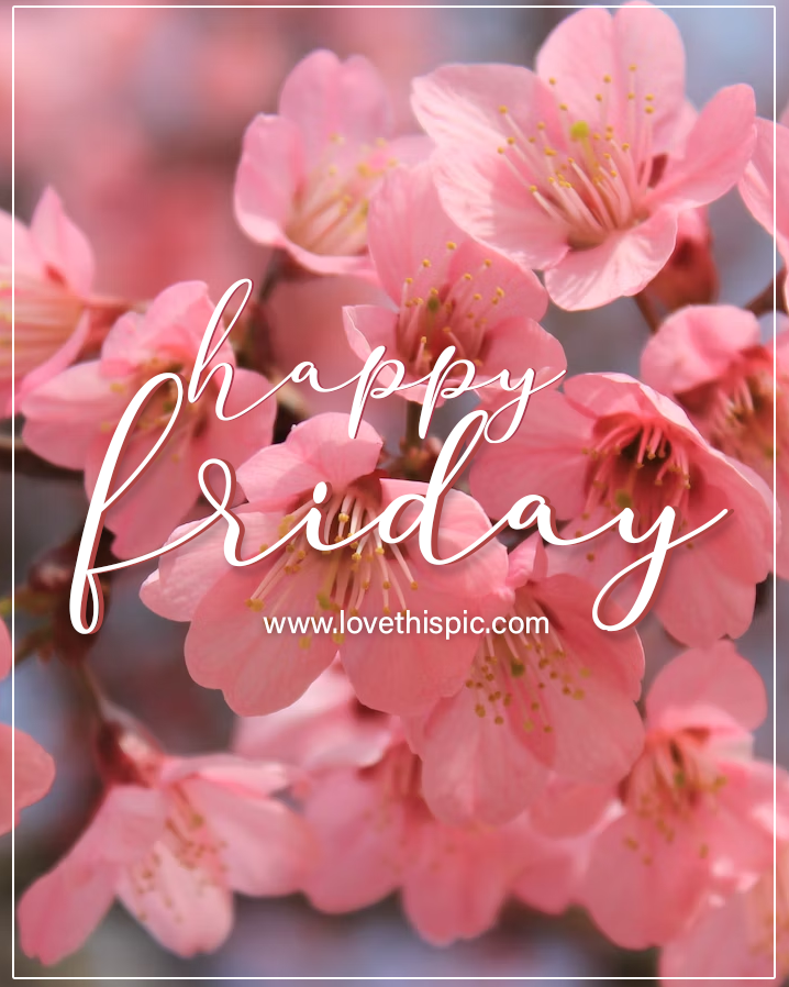 Pink Petaled - Happy Friday Greeting Pictures, Photos, and Images for ...