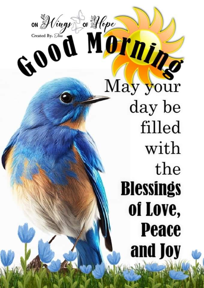 May Your Day Be Filled With The Blessings Of Love, Peace And Joy ...