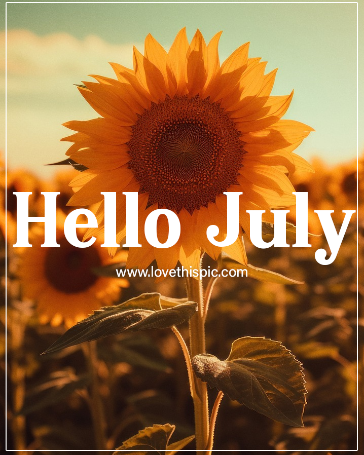 Hello July With Sunflower Pictures, Photos, and Images for Facebook ...