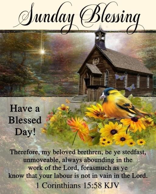 Sunday Blessing, Have A Very Blessed Day Pictures, Photos, and Images ...