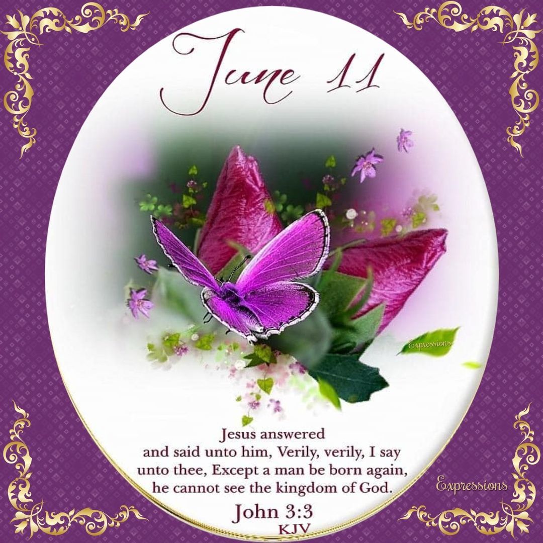 Purple Butterfly - June 11 Greeting Pictures, Photos, and Images for ...
