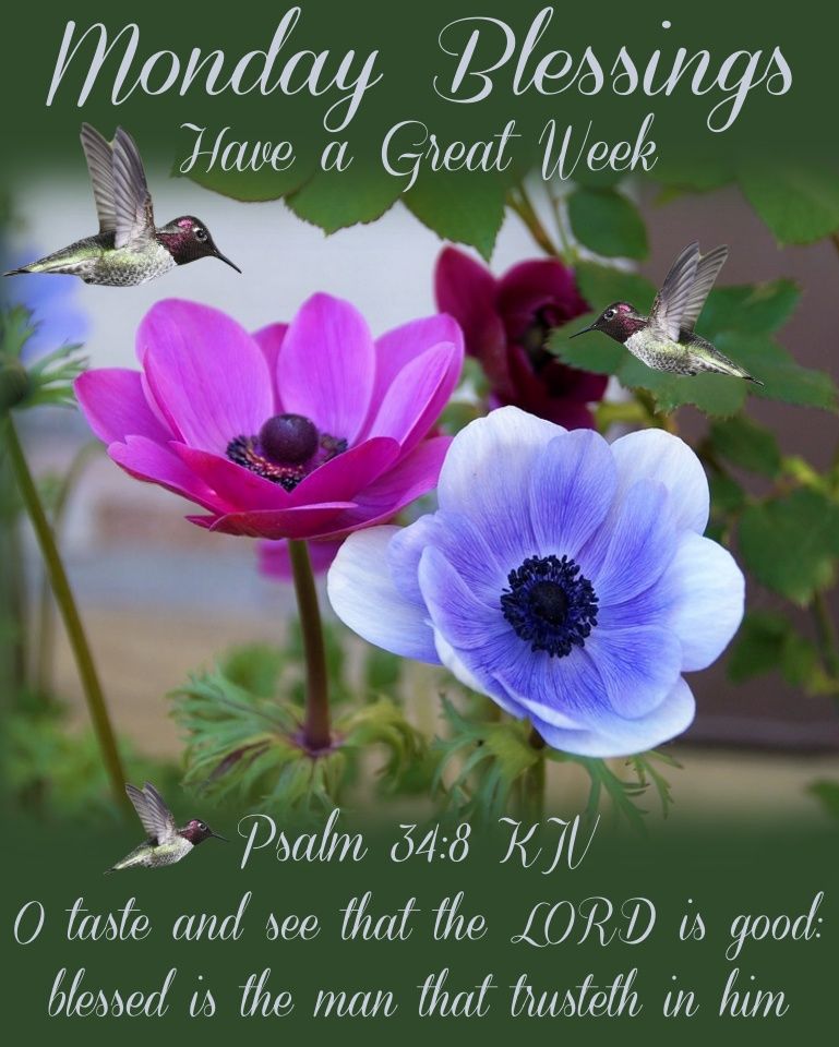 Monday Blessings, Have A Great Week Pictures, Photos, and Images for ...