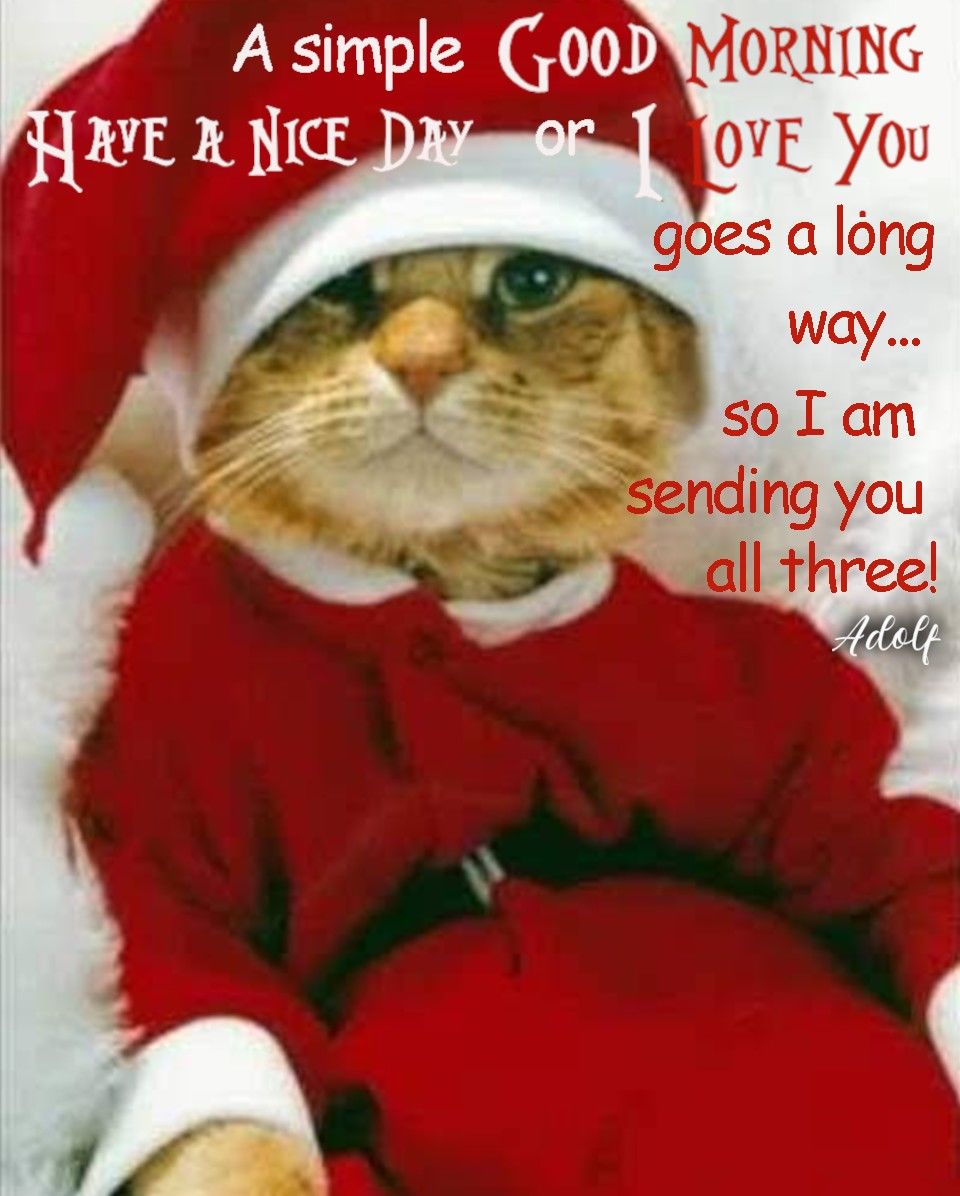 A Simple Good Morning Goes A Long Way Pictures, Photos, and Images for ...