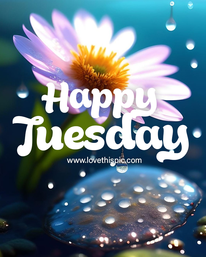 Happy Tuesday Wallpaper