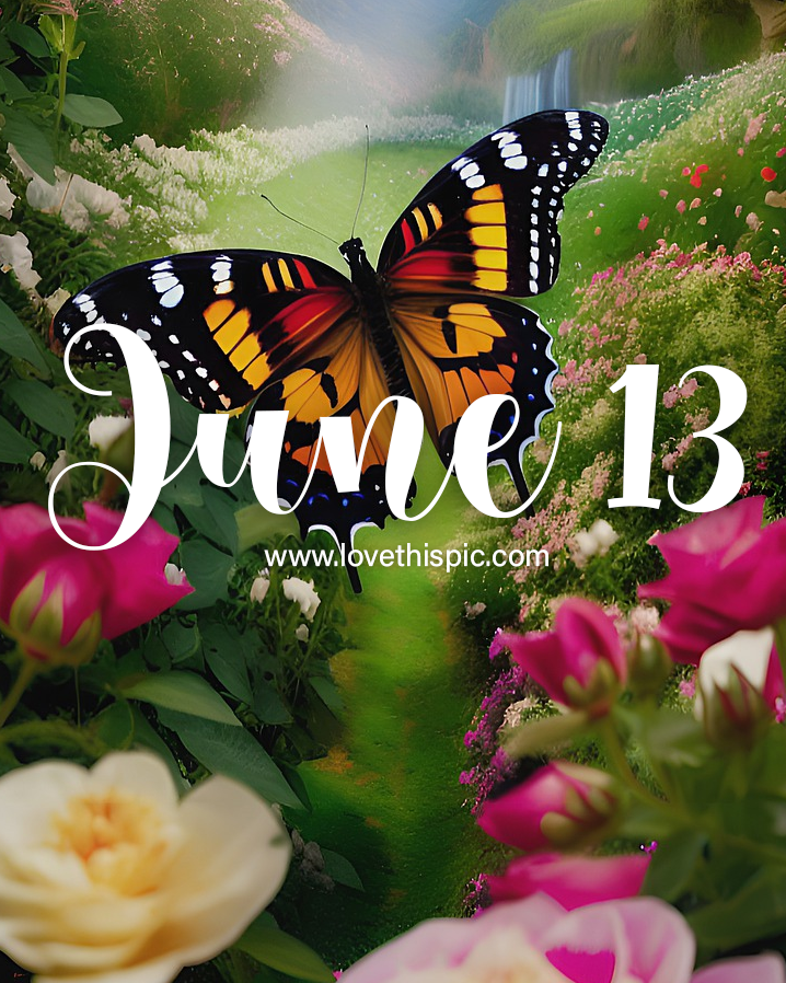 Butterfly In Garden - June 13 Pictures, Photos, and Images for Facebook ...