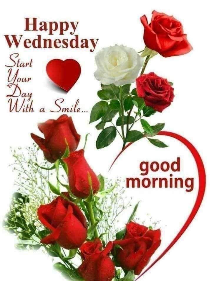 Start Your Week With A Smile, Happy Wednesday Pictures, Photos, and ...