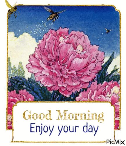 Pink Peony - Good Morning, Enjoy Your Day Pictures, Photos, and Images ...