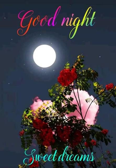 Full Moon - Good Night, Sweet Dreams Pictures, Photos, and Images for ...