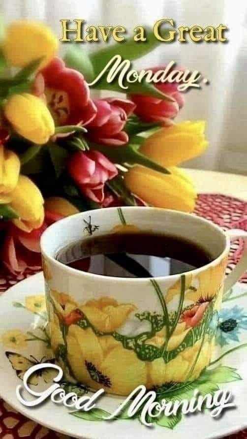 Have A Great Monday, Good Morning Pictures, Photos, and Images for ...