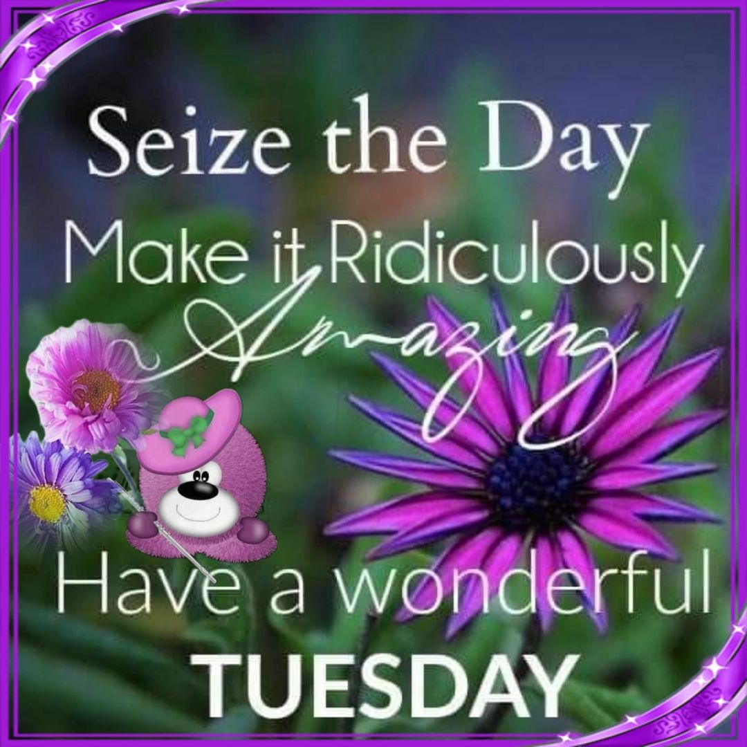 Seize The Day, Make It Amazing. Have A Wonderful Tuesday Pictures ...