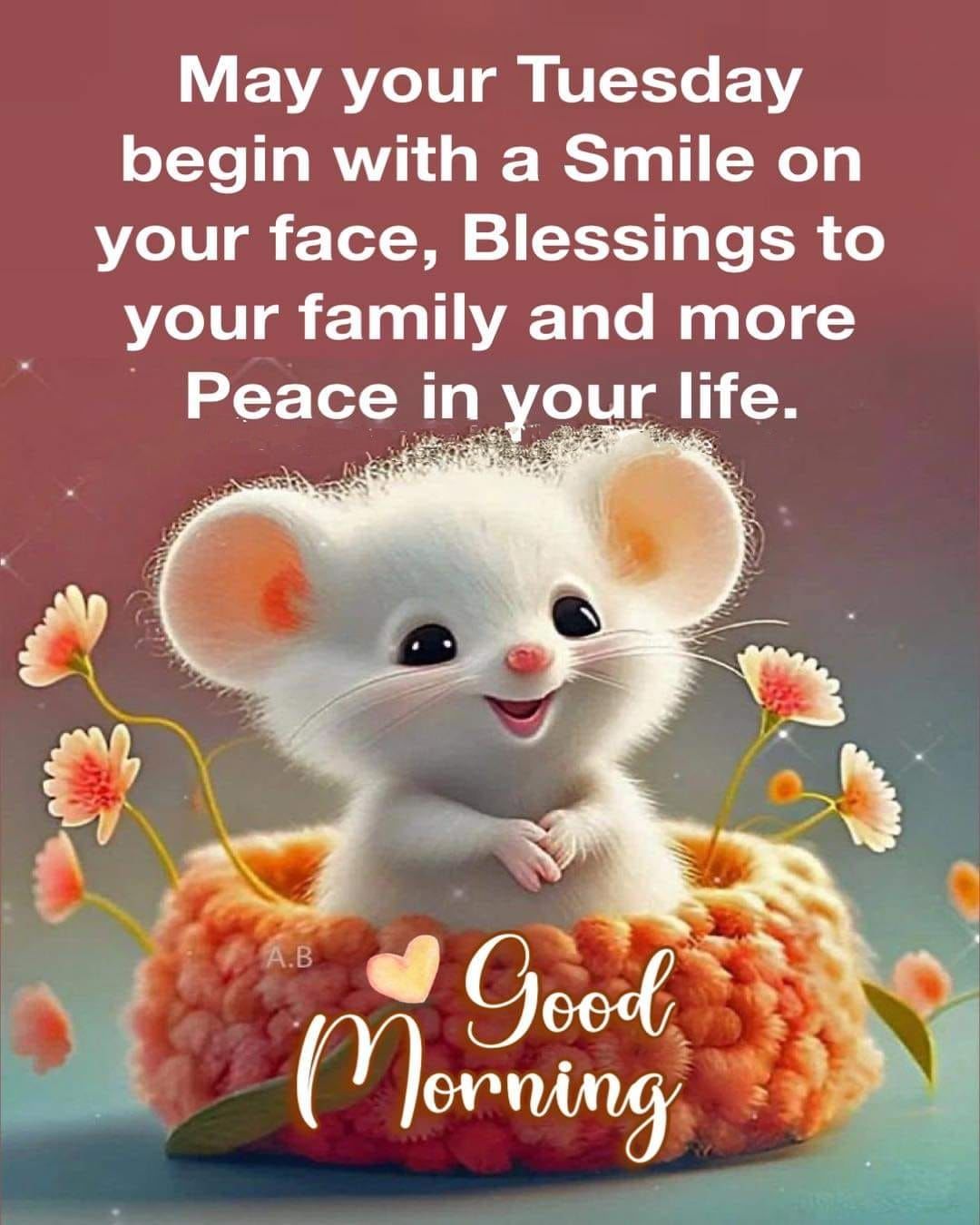 May Your Tuesday Begin With A Smile On Your Face, Blessings To Your Family And More Peace In ...