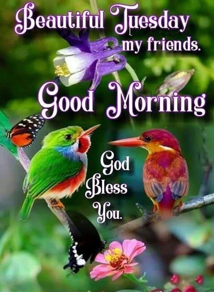 Beautiful Tuesday My Friends Pictures, Photos, and Images for Facebook ...