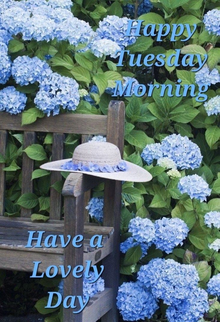 Blue Flower Happy Tuesday Morning Greeting Pictures, Photos, and Images ...