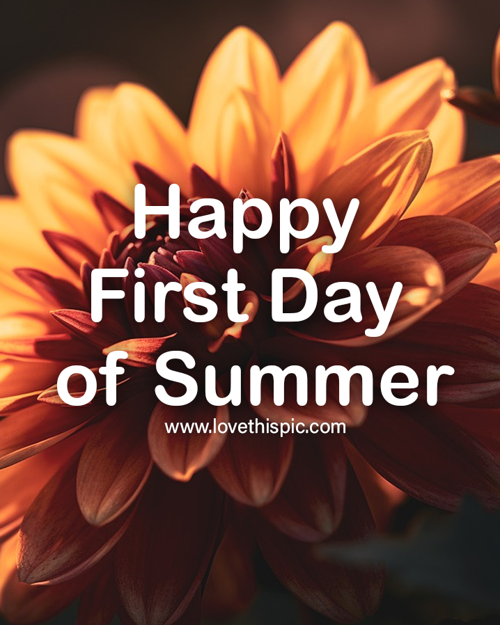Orange Flower Illustration - Happy First Day Of Summer Pictures, Photos ...