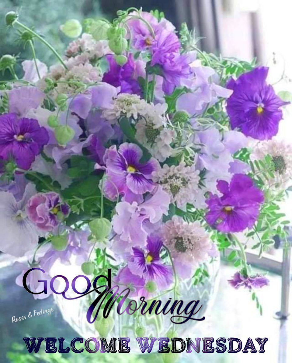 Welcome To Wednesday, Good Morning Pictures, Photos, and Images for ...