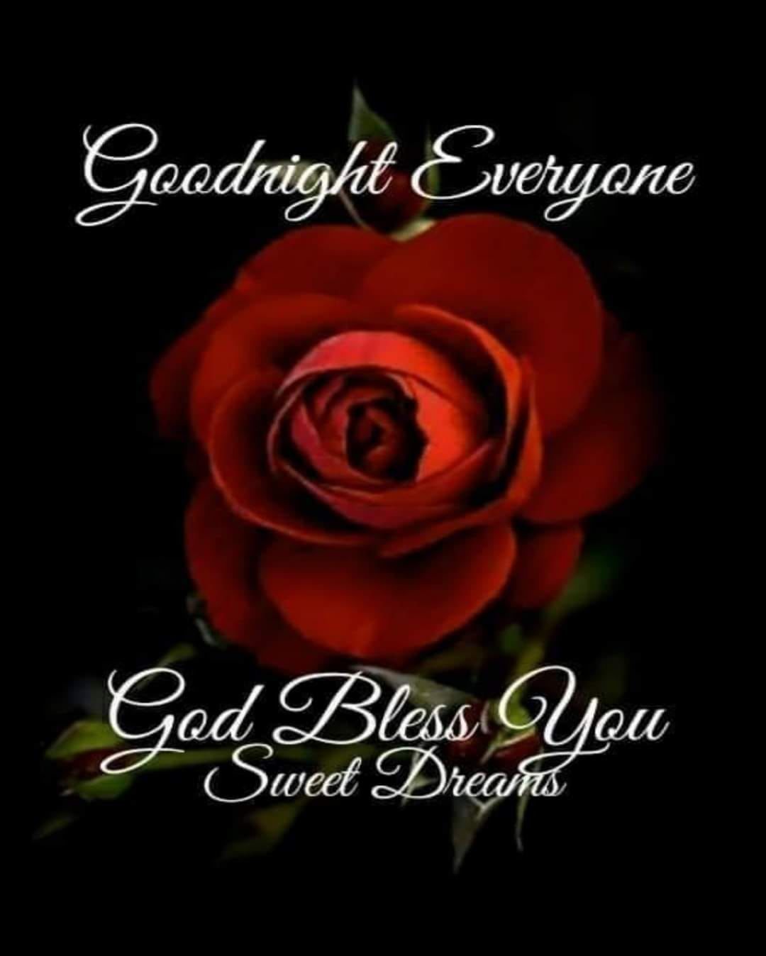 Good Night Images With Red Roses