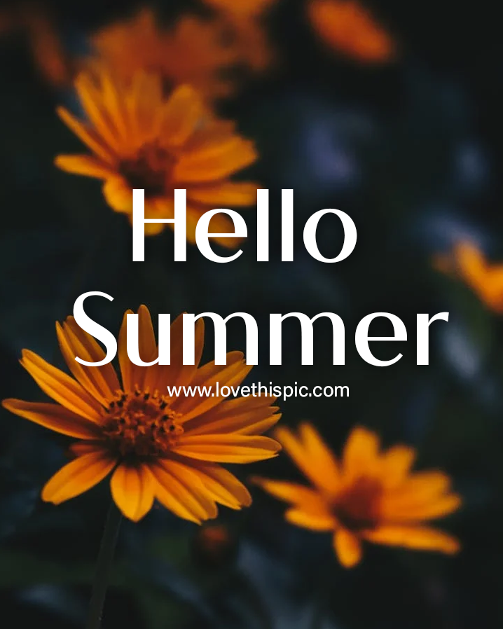 Floral Hello Summer Pictures, Photos, and Images for Facebook, Tumblr ...