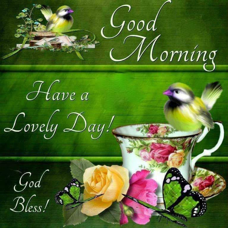 Good Morning, Have Lovely Day! Pictures, Photos, and Images for ...