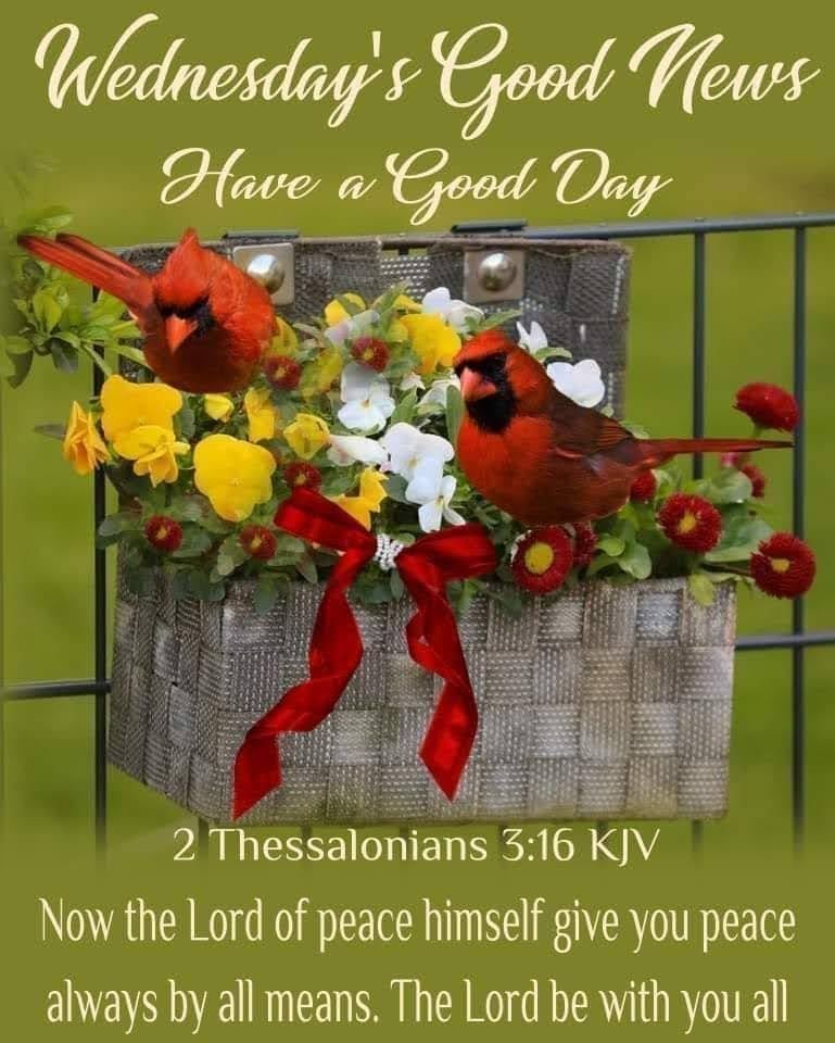 Wednesday's Good News Pictures, Photos, and Images for Facebook, Tumblr ...