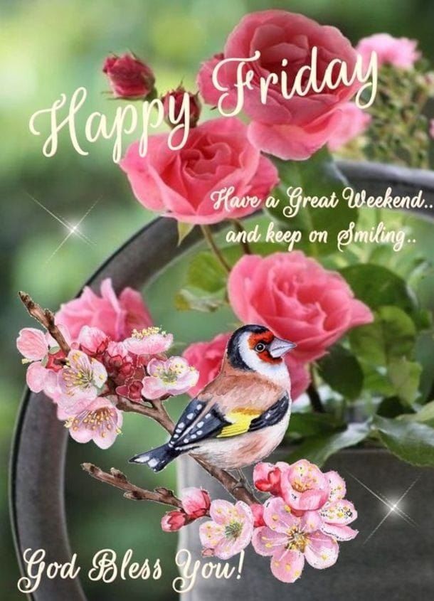 Cherry Blossoms - Happy Friday. Have A Great Weekend Pictures, Photos ...