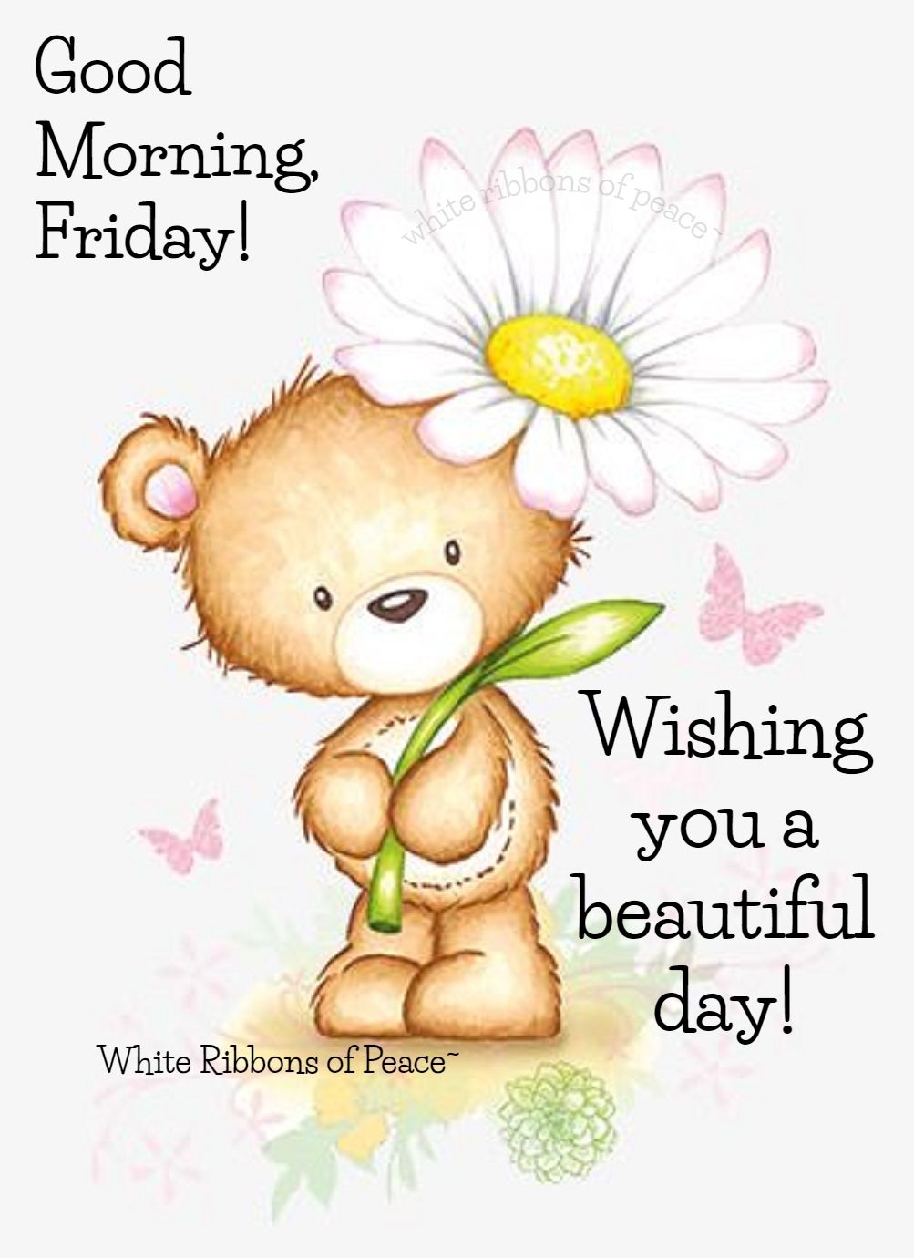 Teddy Bear Holding Daisy - Good Morning, Friday! Wishing You A ...