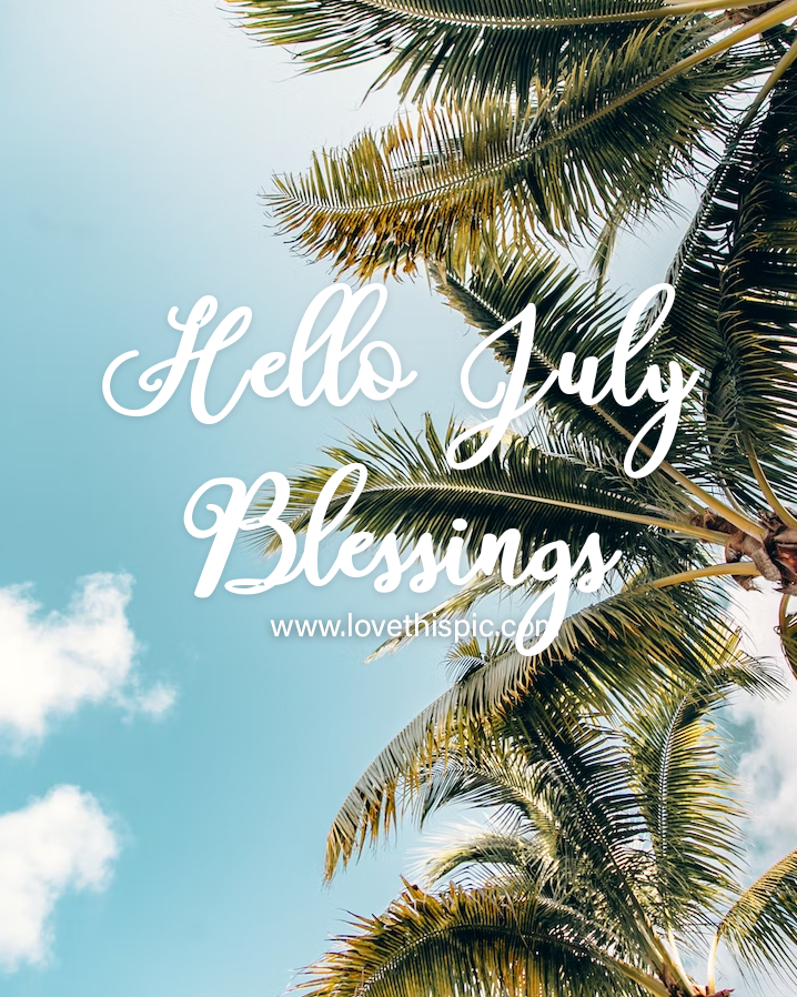 Coconut Trees - Hello July Blessings Pictures, Photos, and Images for ...