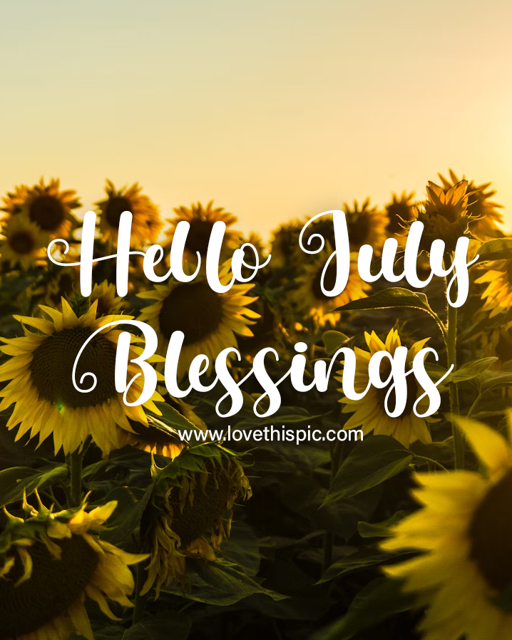 Sunflower Field - Hello July Blessings Pictures, Photos, and Images for ...