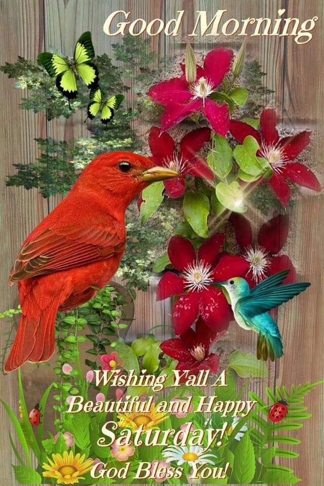 Wishing Ya'll A Beautiful Happy Saturday Pictures, Photos, and Images ...