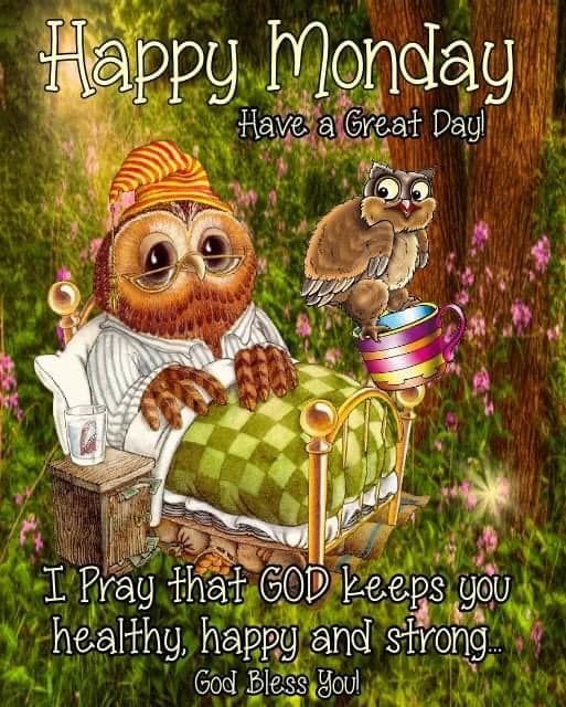 Resting Owl - Happy Monday. Have A Great Day Pictures, Photos, and ...