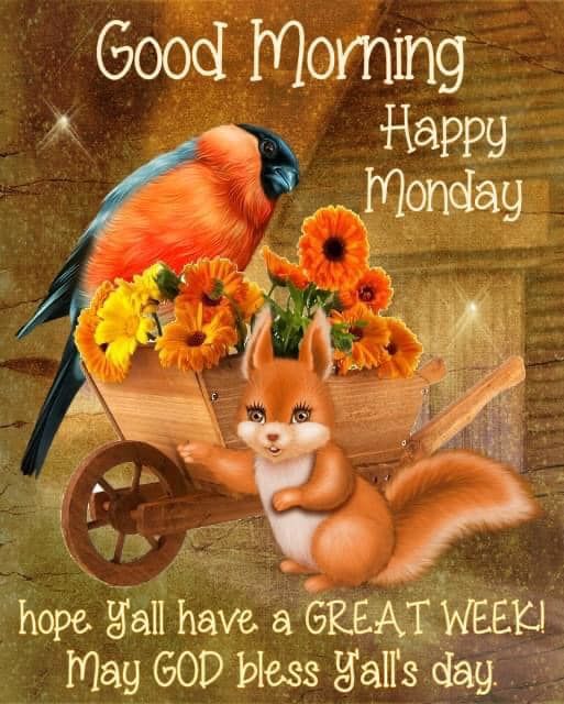Hope Y'all Have A Great Week! Happy Monday Morning! Pictures, Photos ...