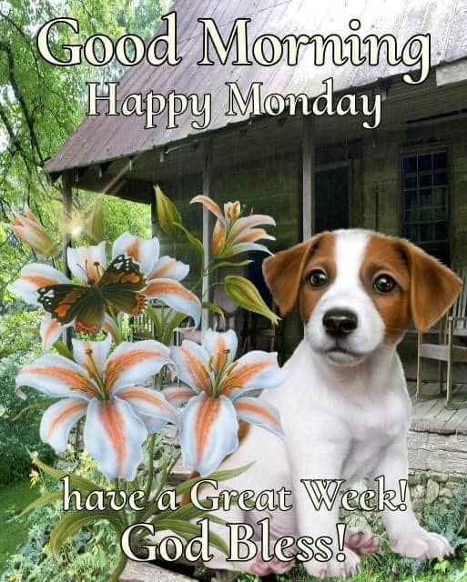 Happy Monday Pictures Puppy