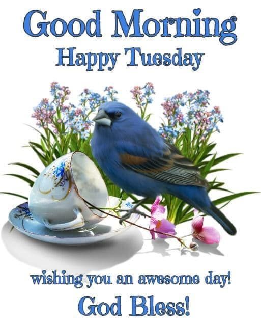 Wishing You An Awesome Tuesday. Good Morning Pictures, Photos, and ...