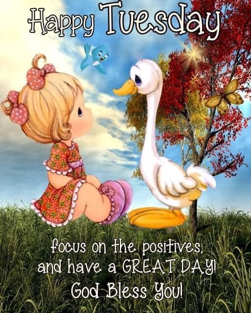 Focus On The Positive And Have A Great Day! Happy Tuesday Pictures ...