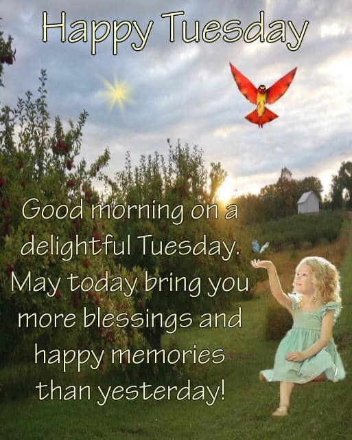 Good Morning On A Delightful Tuesday. Pictures, Photos, and Images for ...