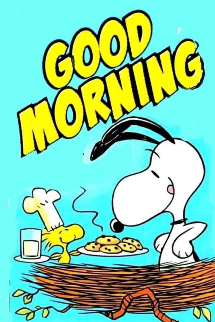Snoopy Woodstock Good Morning Shop Stores | www.pinnaxis.com