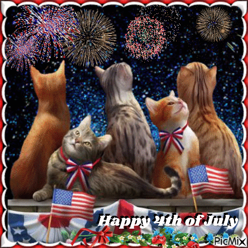 Cat Watching Fireworks - Happy 4th Of July Pictures, Photos, and Images ...