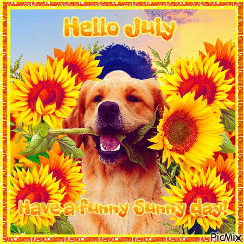 Hello July, Have A Funny Sunny Day Pictures, Photos, and Images for ...