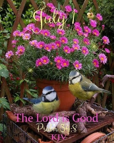 July 1: The Lord Is Good Pictures, Photos, and Images for Facebook ...